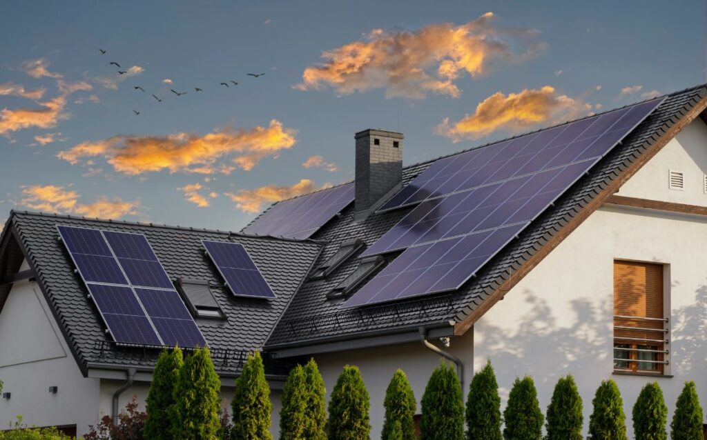 ¿Cómo reducir tu factura de luz con placas solares?